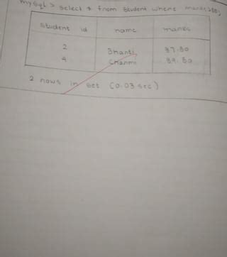 Ip Practical File Pdf