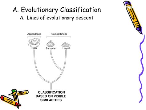 Ppt Classification Powerpoint Presentation Free Download Id670968