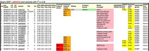 Example Of Haplotype Summary View Download Scientific Diagram