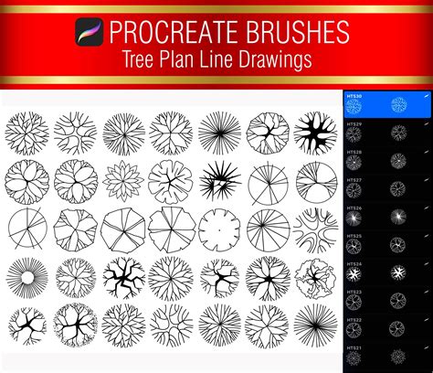 Procreate Brushes Procreate Tree Plan Stamps Tree Symbols Landscape