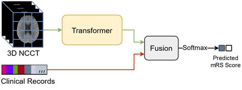230110829 Transop Transformer Based Multimodal Classification For