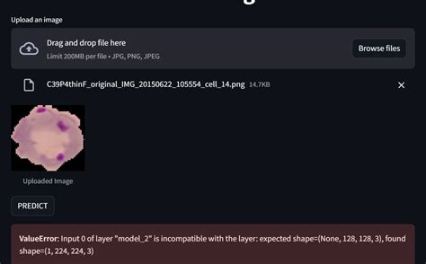 Machine Learning Valueerror Input 0 Of Layer Model2 Is