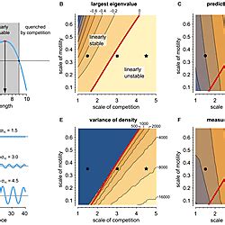 Linear Stability Analysis