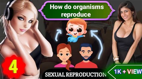 How Do Organisms Reproduce Class 10 How Do Organisms Reproduce Class