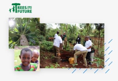 Trees For The Future Logo White HD Png Download Kindpng