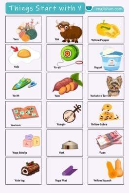 Things Start With Y Englishan