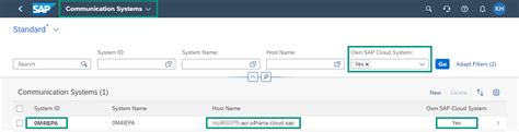 Streamlining Sap Mdg And S 4hana Integration