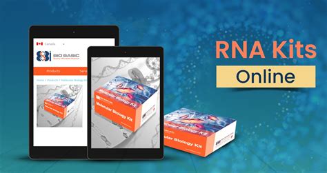 High Quality Viral Rna Purification Kits Rna Kits Online