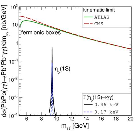 Differential Cross Sections For The Signal Contribution From Fermionic