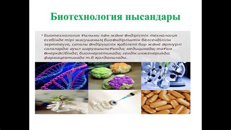 Биология 9сынып - YouTube