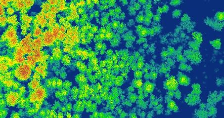 Canopy Height Model Lidar CHM
