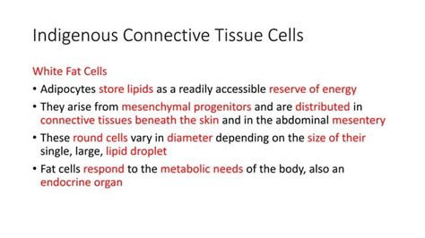 5 Cellular Adhesion And The Extracellular Matrix Ppt