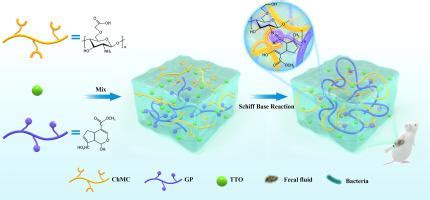 可注射的羧甲基壳聚糖 京尼平水凝胶包裹茶树油用于伤口愈合 Carbohydrate Polymers X MOL