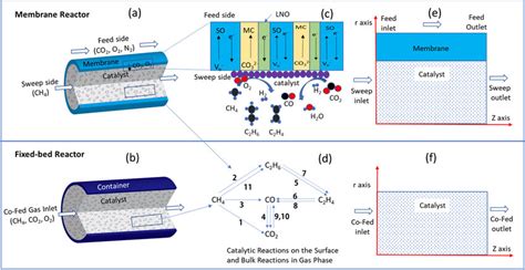 Schematic Illustration Of A Membrane Reactor B Co Fed Fixed Bed Download Scientific
