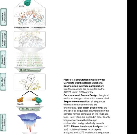 Figure 1 From Complete Combinatorial Mutational Enumeration Of A