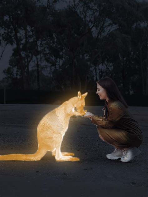 Mahek Babariya On Linkedin Adoobephotoshop