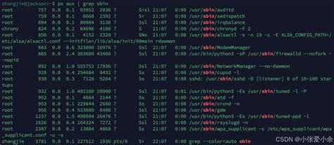 linux操作系统 进程与服务管理 linux系统有关进程和服务的指令 csdn博客
