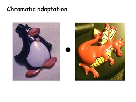 Perception Lecture Notes Color