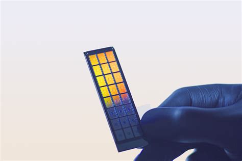 Microarray And Genotyping Services