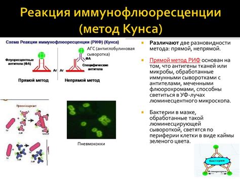 Серологические реакции - презентация онлайн
