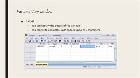 an introduction to spss pptx programming languages computing