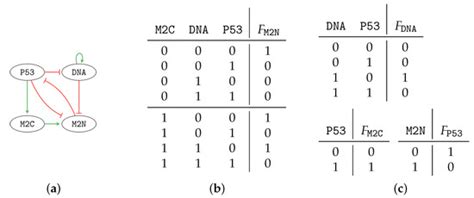 Mathematics Special Issue Boolean Networks Models In Science And