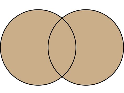 Incorporating Inclusivity Through Boolean Logic And Conditionals