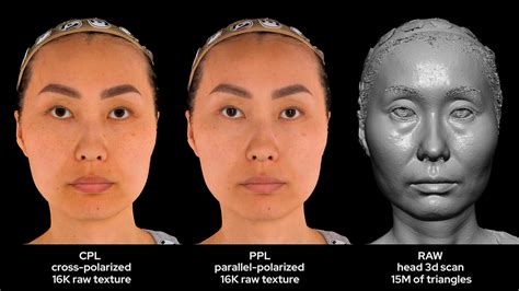 무료 무료 아시아 여성 30대 머리 스캔 049 3d 모델 Turbosquid 2151857