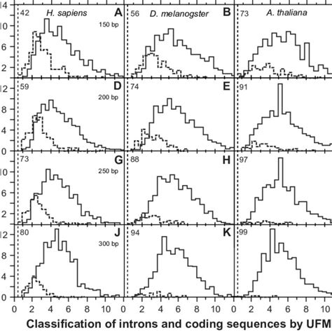 Classification Of Coding Sequences Solid Line And Introns Dashed