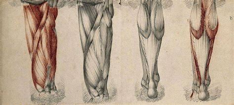 3d Reconstruction François Chung Phd English