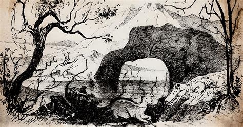 Тест на зоркость и внимательность найди всех животных