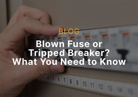 Why Your RCD Keeps Tripping Powerhub Electrical