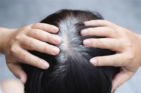 머리에 검은 흰머리 뿌리를 보여주는 젊은 사람들의 조기 회색 머리의 뒷모습은 야외 노인으로 바뀝니다 프리미엄 사진