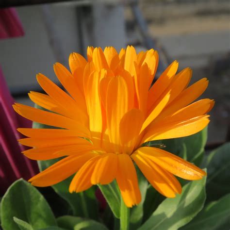 Amlnzu 2oo2h5qdag Qmqd9ohvqqfctituwewxxo3mygnq S900 C K C0x00ffffff No Rj