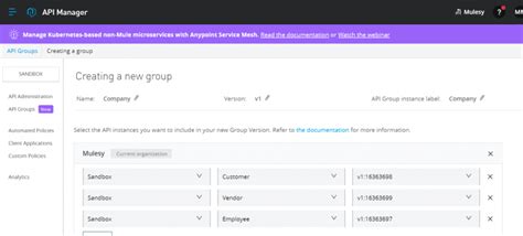 Api Groups In Mulesoft Mulesoft Tutorials
