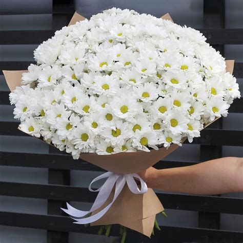 Ромашка: символика и преимущества цветка | Полезные статьи от Julia-Flower