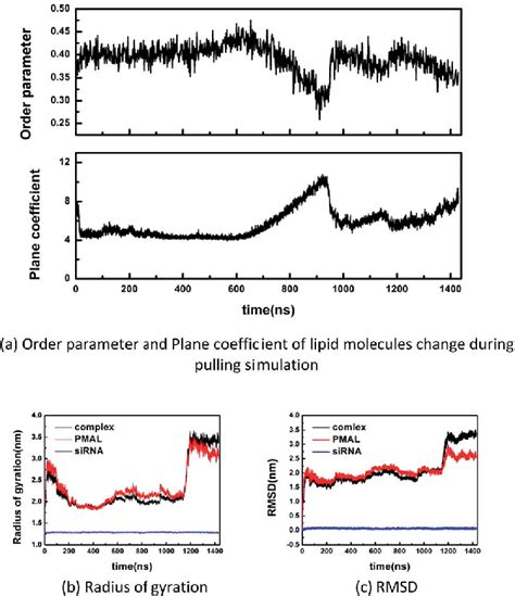 Structural Transitions Of Sirna Pmal And The Lipid Bilayer During The Download Scientific