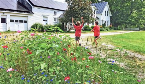 Dynamics 365 If You Dont Get This Youre Wasting Your Budget Experlogix