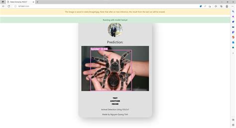 Github Tinhpx2911animaldetectionyolov7
