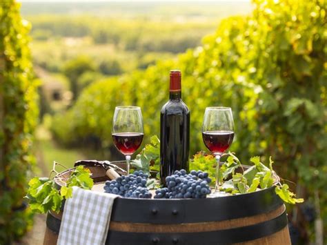 Burdeos Y Borgoña Diferencias Entre Los Vinos Más Famosos De Francia