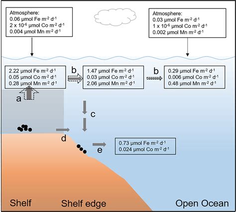 Sediment Release In The Benguela Upwelling System Dominates Trace Metal Input To The Shelf And
