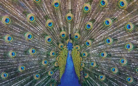 admin magazine on linkedin python languages patternmatching devops