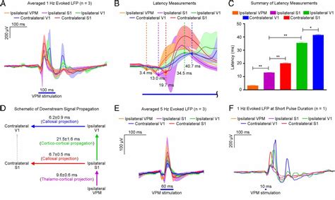 Long Range Projections Coordinate Distributed Brain Wide Neural Activity With A Specific
