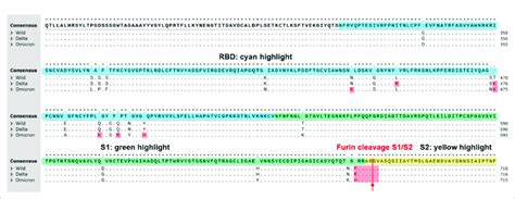 A Multiple Sequence Alignment Of Sars Cov2 S Proteins Including Alpha