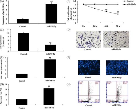 Overexpression Of Mirna‐98‐5p On Cell Growth Of Download