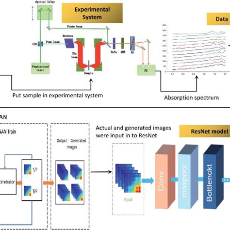 Flow Chart Of The Detection Of Carbendazim Using Wgan Resnet Based On Download Scientific