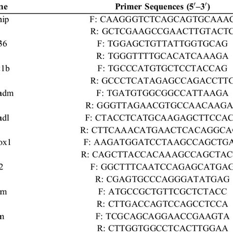 Txnip Gene Knockout Improved The Fatty Acid Oxidation Capacity In