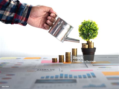 사업가 동전을 급수의 손 및 돈을 성장 하는 도시는 배경에서 개념 성공 투자 및 지속 가능한 비즈니스 성장 및 안정 가까운에 대한 스톡 사진 및 기타 이미지 Istock