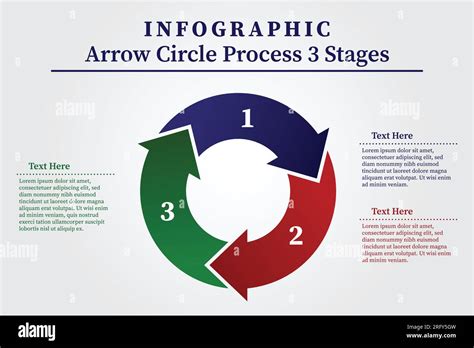 vector circle infographic business concept with 3 arrow options parts