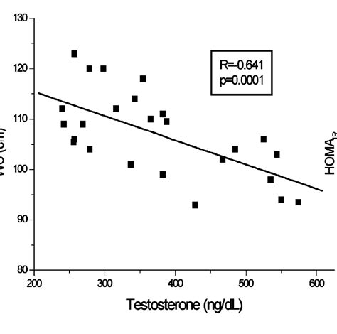 The Impact Of Exercise On The Male Sex Life Biolayne
